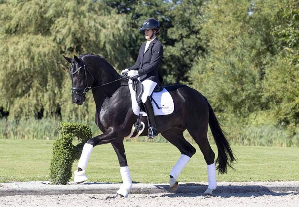 Het Eegdeken - Hengstenhouderij, KI-station sportpaarden